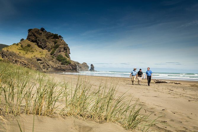 Auckland City and West Coast Full Day Tour - Key Points