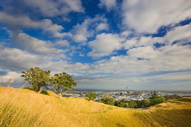 Auckland City and West Coast Full Day Tour - Practicalities and Value