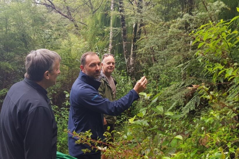 Auckland City, Beaches & Rainforest Premium Small Group Tour - Auckland City, Beaches & Rainforest Premium Small Group Tour: An In-Depth Look