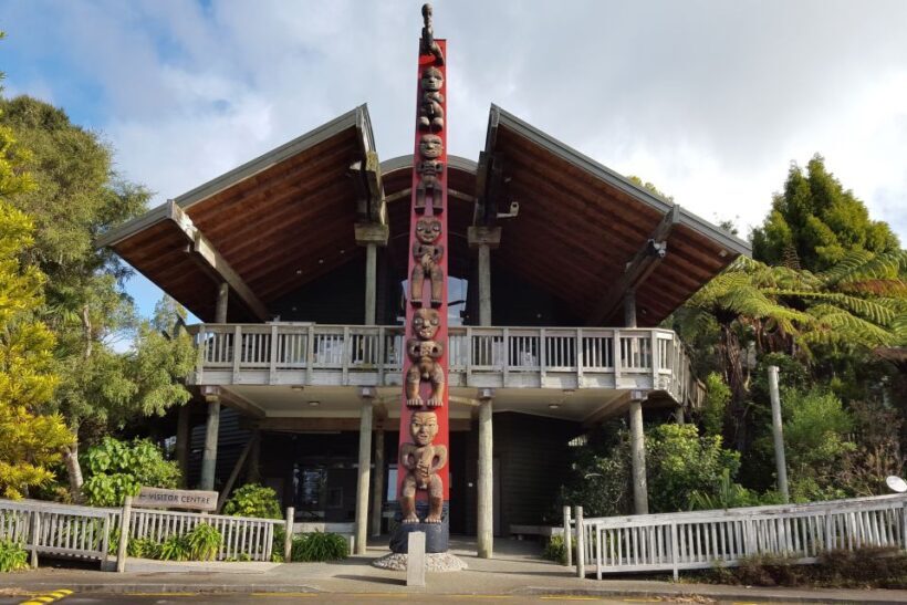 Auckland City, Beaches & Rainforest Premium Small Group Tour - Exploring Auckland City