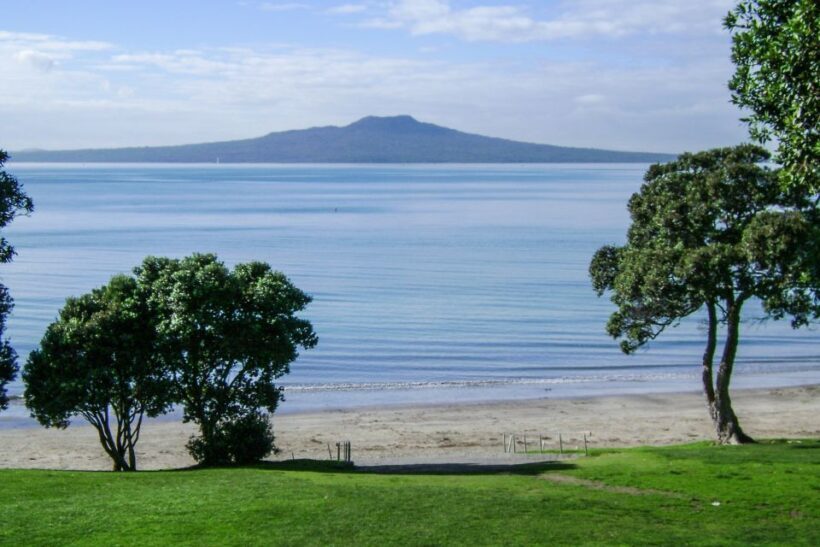 Auckland City, Beaches & Rainforest Premium Small Group Tour - Scenic Views from North Shore and Mt Victoria