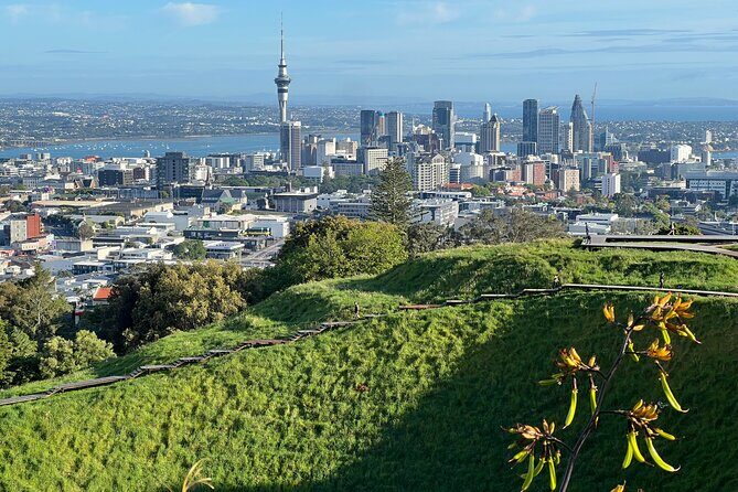 AUCKLAND CITY Full Day Tour with War Memorial Museum and Mt Eden - Who Should Consider This Tour?