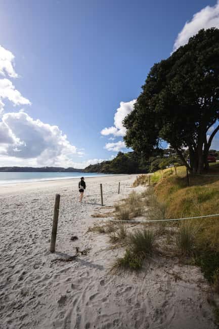 Auckland City Full Tour -PRIVATE TOUR - The Value of a Private Tour in Auckland