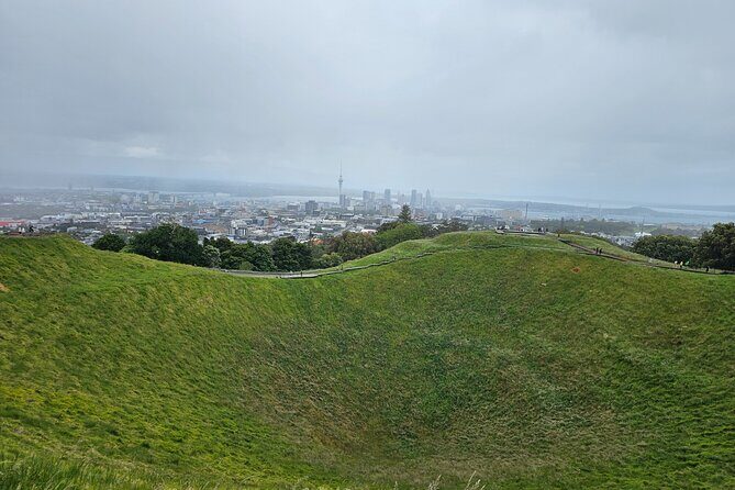 Auckland City Half Day Tour - A Closer Look at the Auckland City Half Day Tour