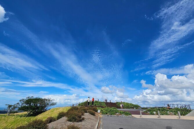 Auckland City Halfday Private Tour - The Sum Up: Is It Worth It?