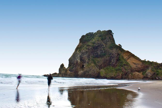 Auckland City Highlights, Afternoon Piha Beach & Rainforest Tour - Who Will Love This Tour?