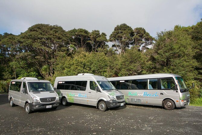Auckland City Highlights, Afternoon Piha Beach & Rainforest Tour - Final Thoughts
