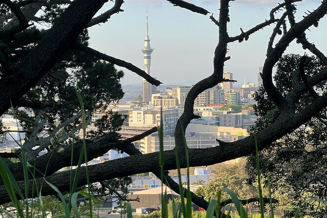 Auckland City Highlights and Hidden Gems Half Day Tour - Analyzing the Value