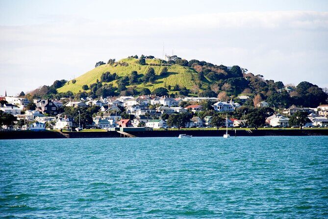 Auckland City Highlights and Hidden Gems Half Day Tour - Who Should Consider This Tour?