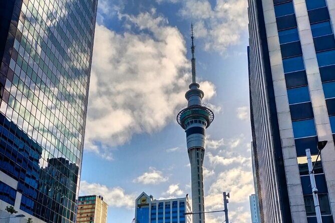 Auckland City Highlights Full Day Tour - How the Tour Works: Practical Details