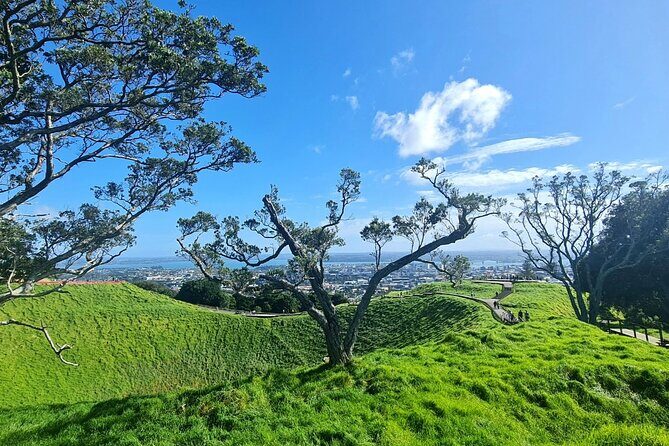 Auckland City Highlights Half Day Tour - FAQ