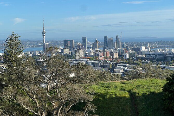 AUCKLAND CITY HIGHLIGHTS Half Day Tour with Hotel Pickup - Key Points