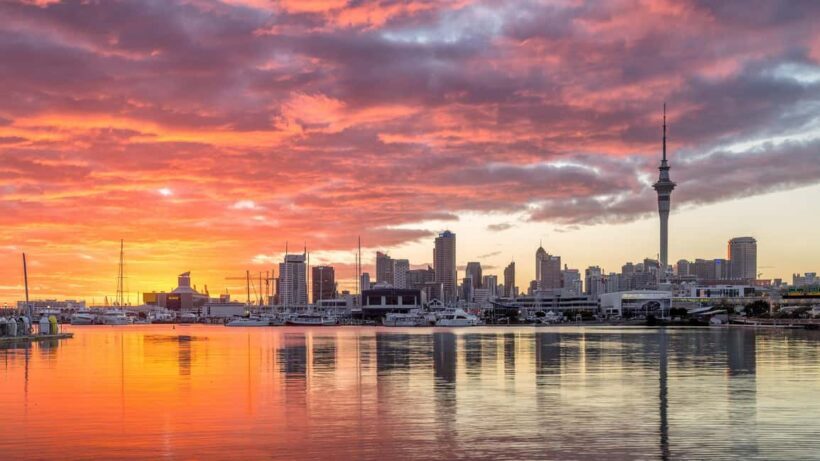 Auckland: City Highlights Private Tour - Key Points