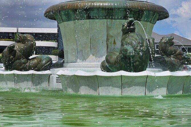 Auckland City Highlights Tour - Authentic Experiences and Expert Guidance