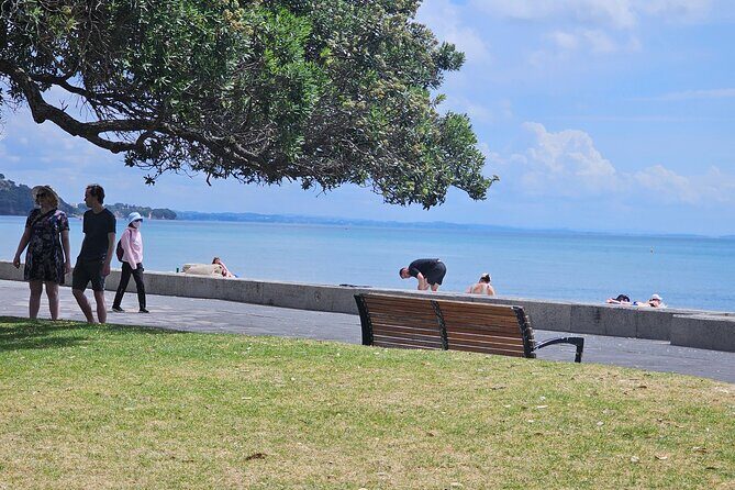 Auckland City Highlights Tour - Final Thoughts