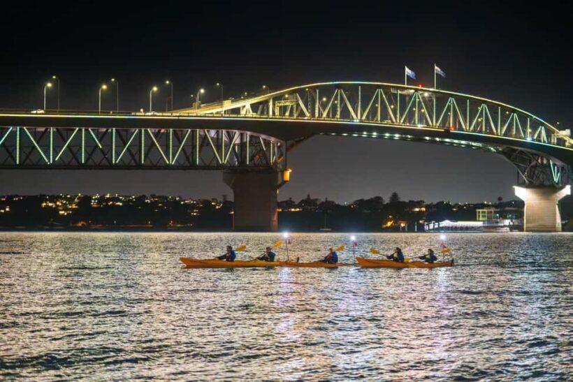 Auckland: City Lights Night Kayak Tour - Key Points
