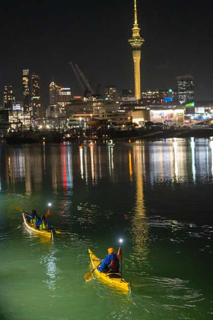 Auckland: City Lights Night Kayak Tour - A Closer Look at the Auckland Night Kayak Experience
