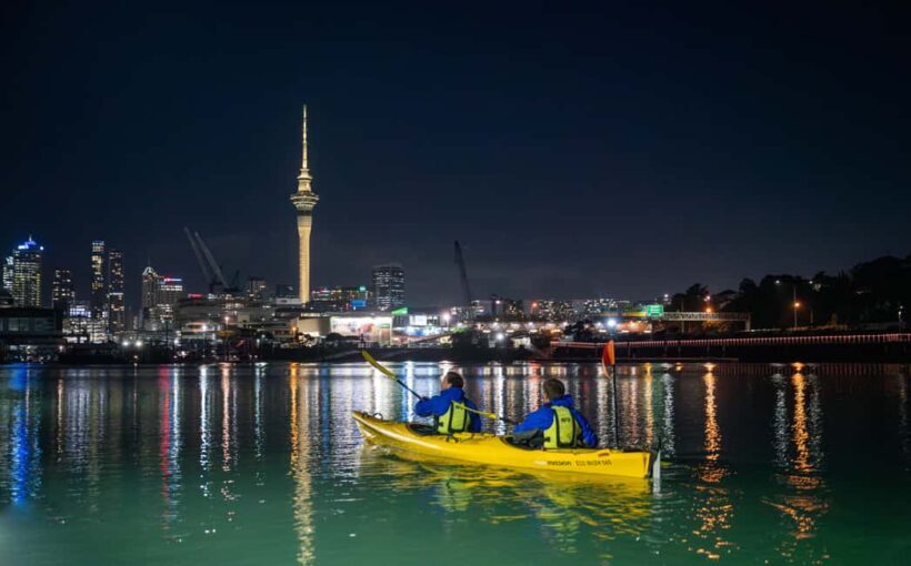 Auckland: City Lights Night Kayak Tour - Insights from Reviewers