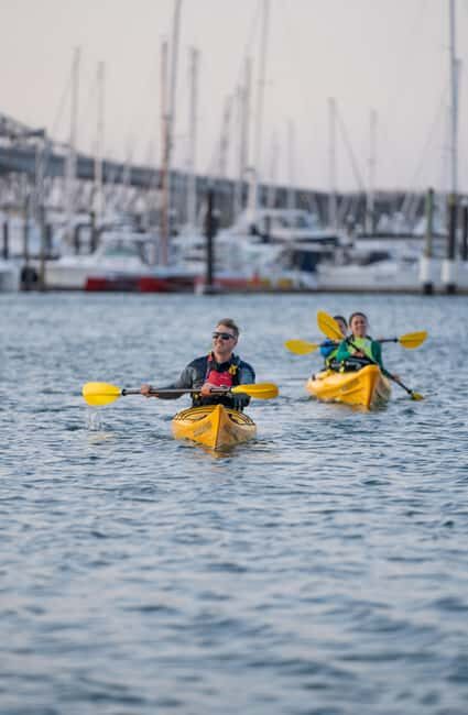 Auckland: City Lights Night Kayak Tour - Who Should Consider This Tour?