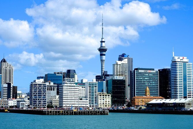 Auckland City & Native Forest Experience - Fully Guided Day Tour - Introduction to the Tour