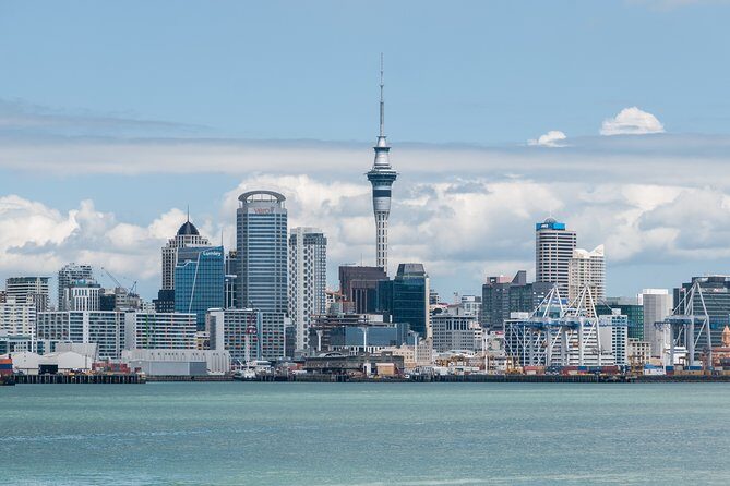 Auckland City & Native Forest Experience - Fully Guided Day Tour - What the Experience Means for You
