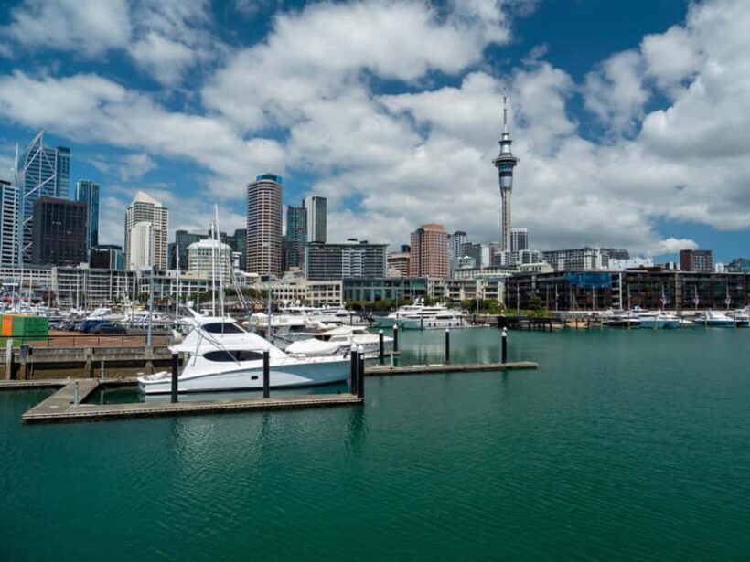 Auckland City Of Sails Half Day Private Tour - Who Should Consider This Tour?