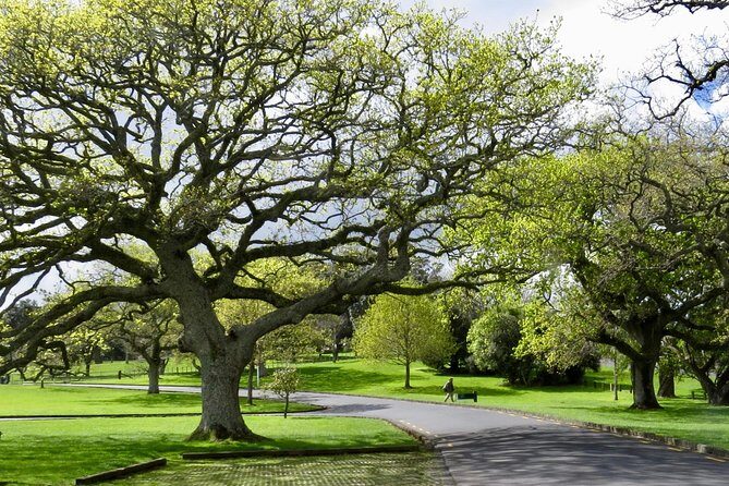 Auckland City Private Tour for Couples. Be chauffeur driven with added extras. - Value for Money