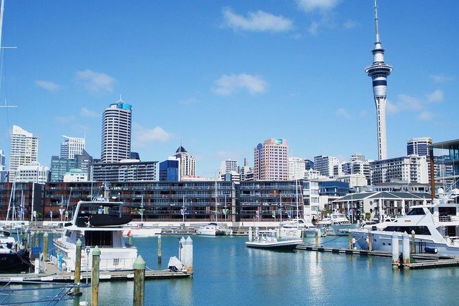 Auckland City Private Tour for Couples. Be chauffeur driven with added extras. - What We Learned from the Reviews