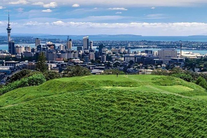 Auckland City Private Tour for Couples. Be chauffeur driven with added extras. - Who Should Consider This Tour?