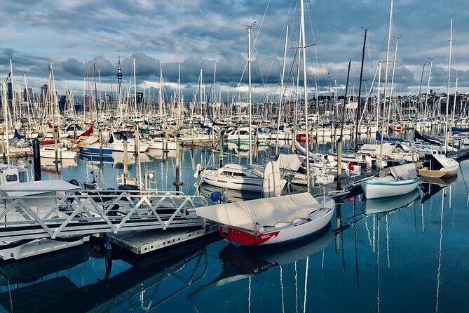 Auckland City Top Sights Half Day Tour - Small Group - Exploring Auckland: A Balanced Look at the City’s Top Sights Half Day Tour
