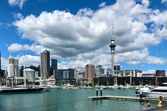 Auckland City Top Sights Half Day Tour - Small Group - What You Can Expect
