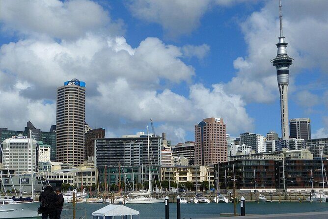 Auckland City Top Sights Half Day Tour - Small Group - Balancing Value and Experience
