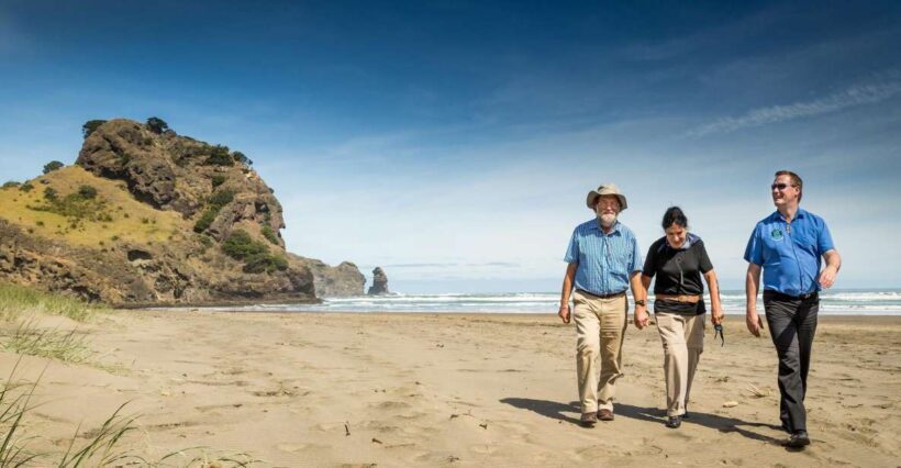Auckland City & West Coast Luxury Tour - What to Expect from the Auckland City & West Coast Luxury Tour