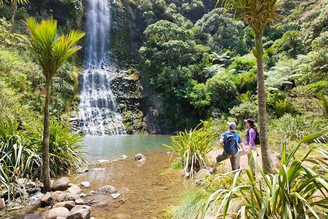Auckland City & West Coast Luxury Tour - The Sum Up: Is the Auckland City & West Coast Luxury Tour Worth It?
