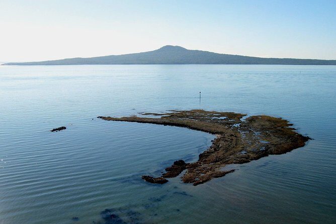 Auckland Coastal Experience - Small Group City & Beach Tour Incl. Wine Tasting - A Full Breakdown of the Itinerary