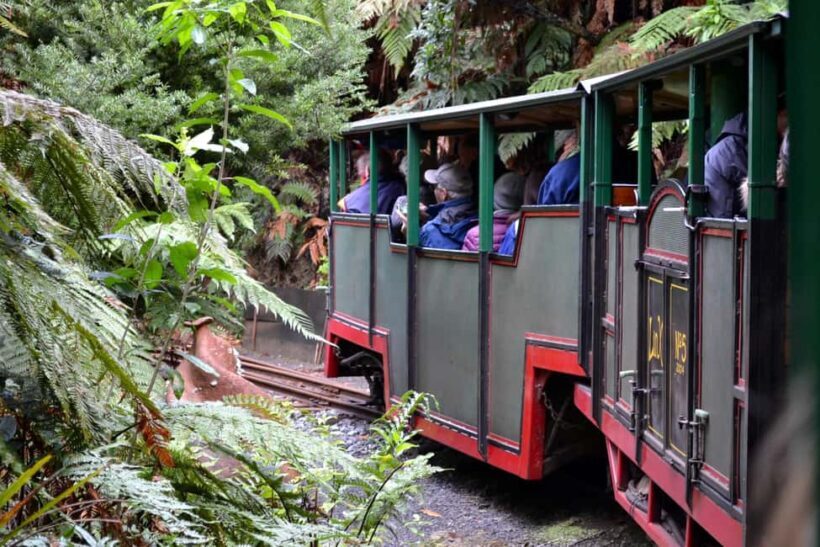 Auckland: Coromandel Beach, Caves & Forest Private Tour - The Sum Up: The Right Choice for a Memorable Day Out