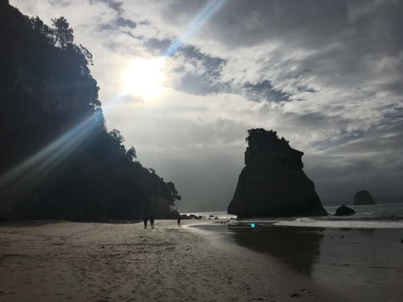 Auckland: Coromandel Day Tour including Hot Water Beach - A Scenic Start to Your Day