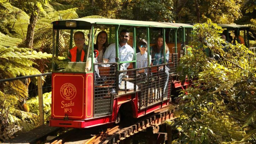 Auckland: COROMANDEL Driving Creek & CATHEDRAL COVE day tour - Key Points