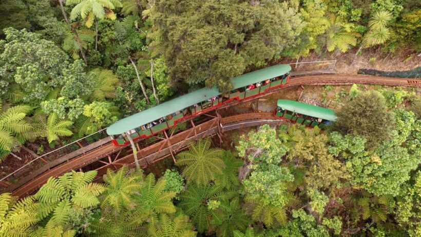 Auckland: COROMANDEL Driving Creek & CATHEDRAL COVE day tour - Who Will Love This Tour?