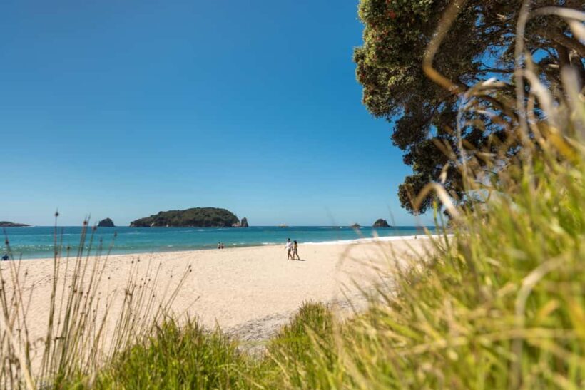 Auckland: COROMANDEL Driving Creek & CATHEDRAL COVE day tour - FAQ