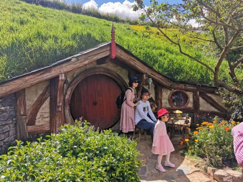 Auckland Day Trip: Explore Hobbitons Magic & Vintage Cars - Key Points