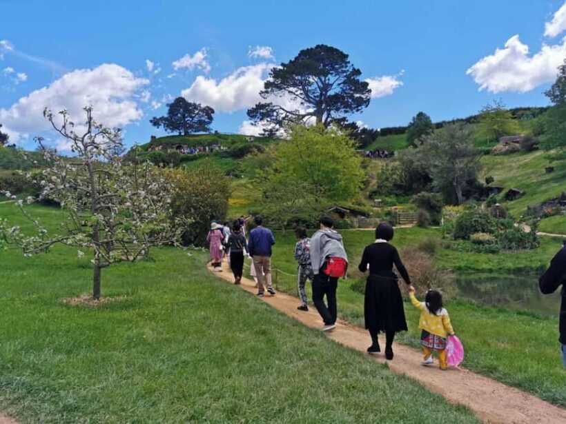 Auckland Day Trip: Explore Hobbitons Magic & Vintage Cars - Who Should Consider This Tour?