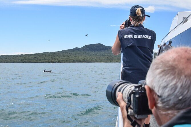 Auckland Dolphin and Whale Watching Eco-Safari Cruise - FAQs