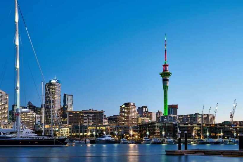 Auckland: Double Decker City Tour with Wine Tastings & Food - Who Will Love This Tour?