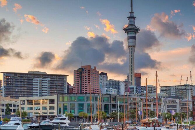Auckland Downtown Hotel Transfers to/from Cruise Ship in Minivan - What We Loved Based on Reviews