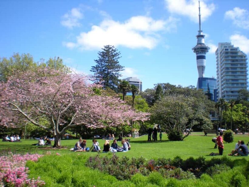Auckland Family Tales: Private Stroll in the City of Sails - FAQs