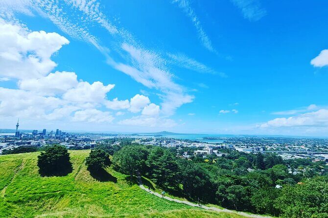 Auckland Full Day Attractions & Museums Tour - Final Thoughts