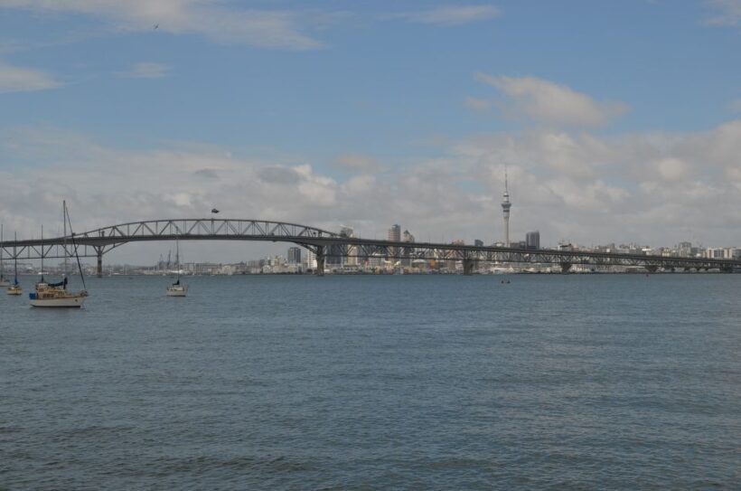 Auckland: Full-Day City Highlights Tour - Final Thoughts
