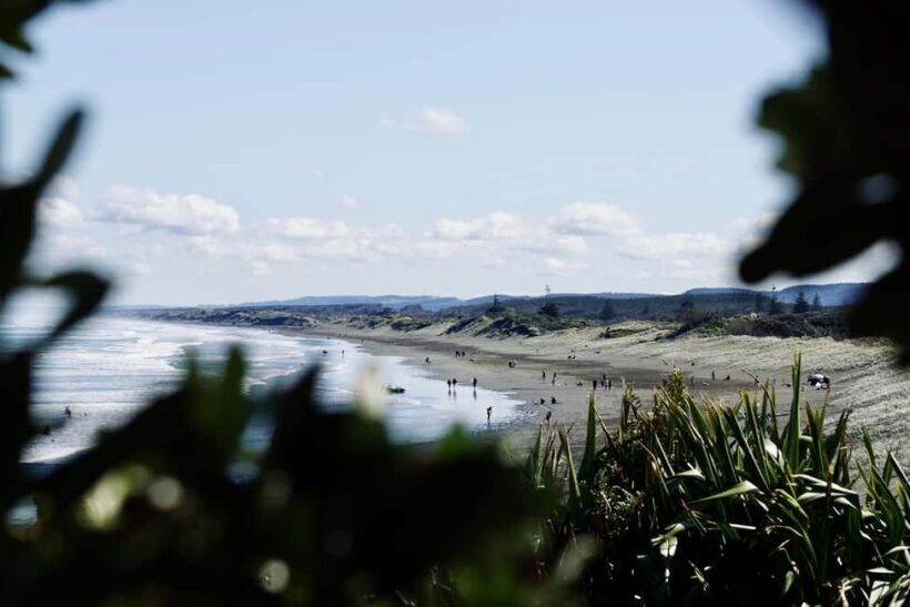 Auckland: Group Surfing Lesson with Muriwai Surf School - Authentic Traveler Feedback