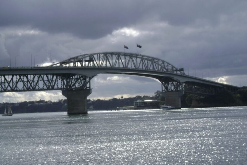 Auckland: Guided Small Group City Discovery Tour - Why Travelers Love This Tour